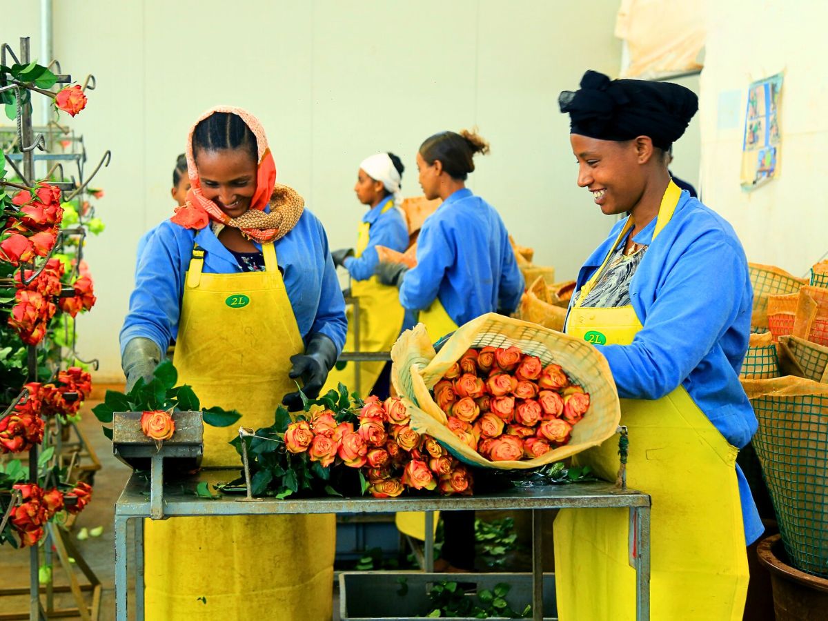 HortiFlora 2026 - International Horticulture & Floriculture Trade Fair