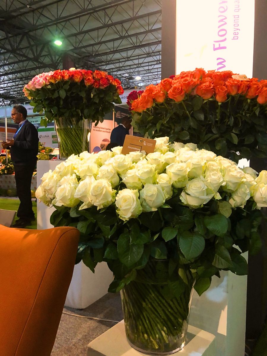 HortiFlora 2026 - International Horticulture & Floriculture Trade Fair
