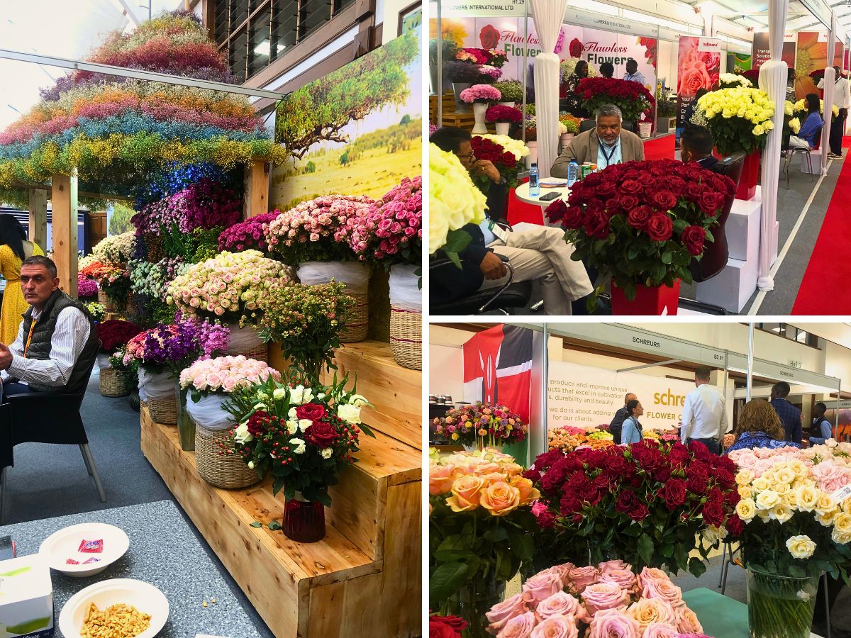 IFTEX 2026 - International Floriculture Trade Fair