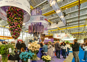 IFTF 2024 - International Floriculture Trade Fair
